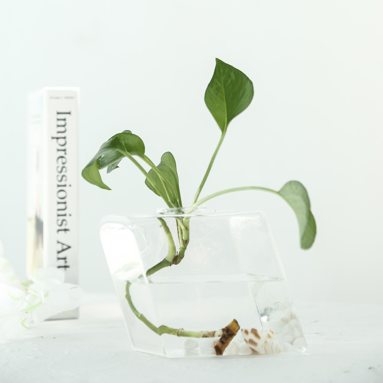 Rhombus Glass Wall Vase & Indoor Mounted Planters – eHomemart