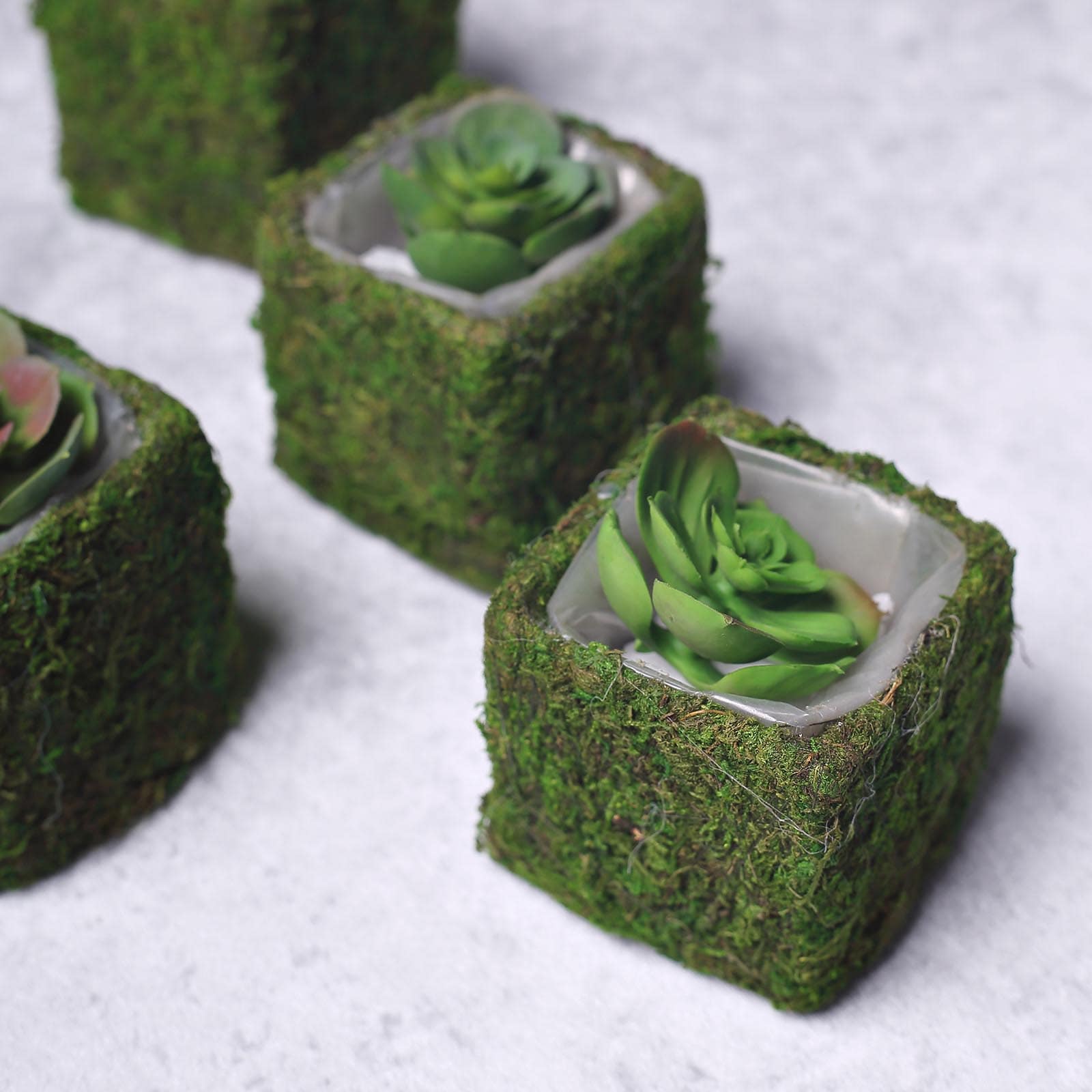 Square Preserved Moss Planter Boxes, Moss Covered Flower Basket Planter ...